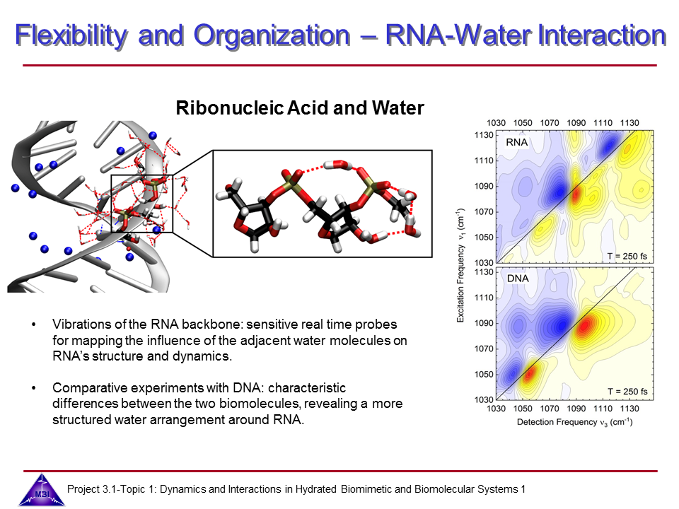 3.1 Topic 1: Phase 6 (2018-2024) | Max-Born-Institut