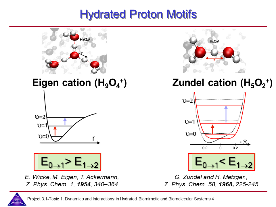 3.1 Topic 1: Phase 6 (2018-2024) | Max-Born-Institut